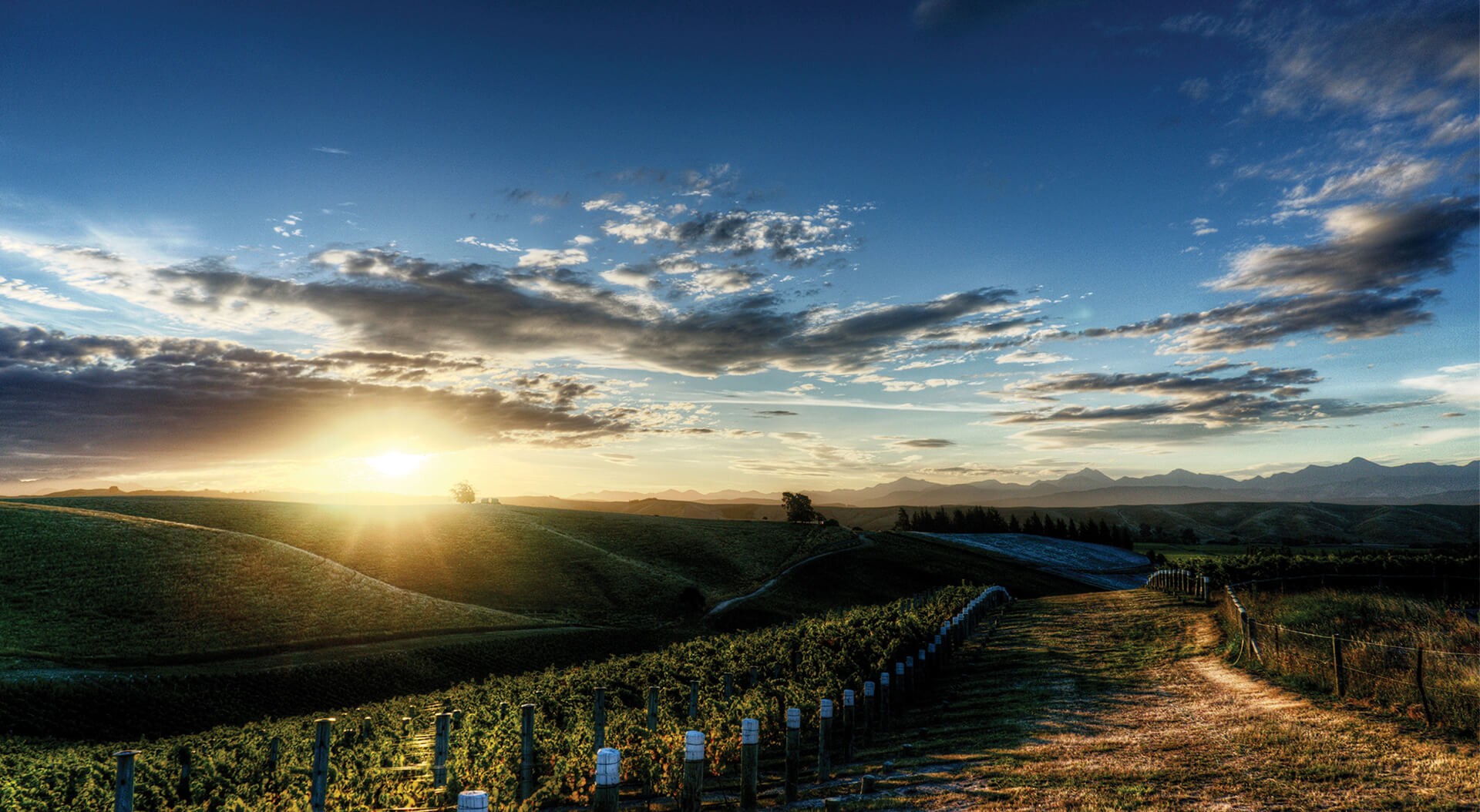 Nautilus Estate - Fells