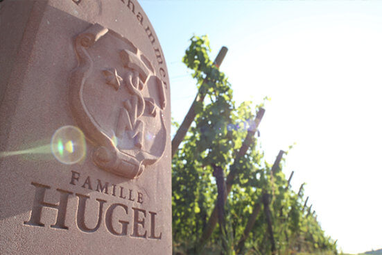 Famille Hugel - Fells
