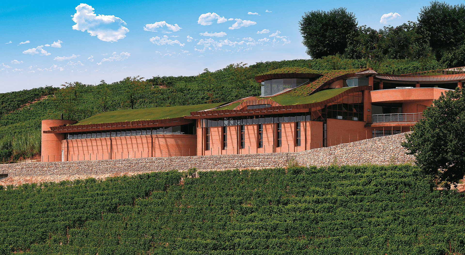 Ratti | atelier-yuwa.ciao.jp