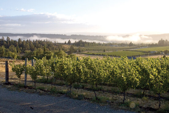 Two Paddocks - Fells